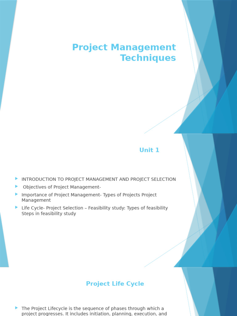 Project Management Techniques Overview | PDF | Project Management ...