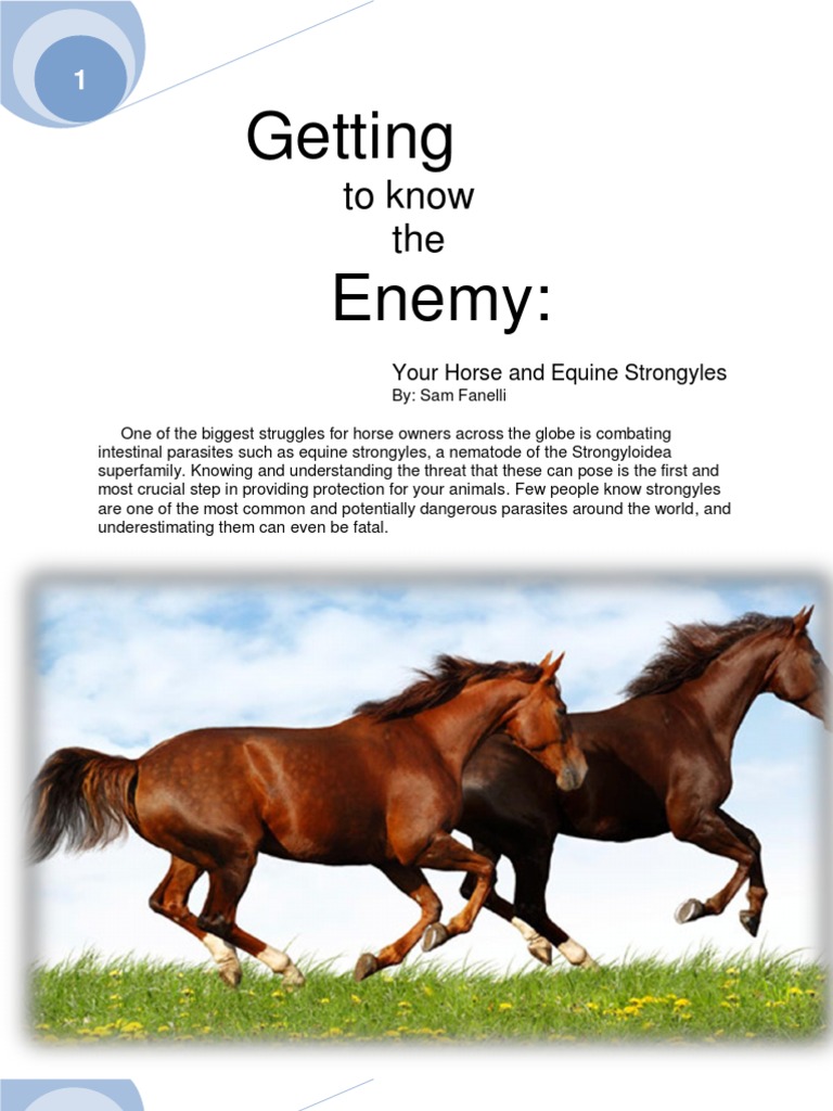 Equine Strongyles: Identification & Treatment | PDF | Parasitism ...
