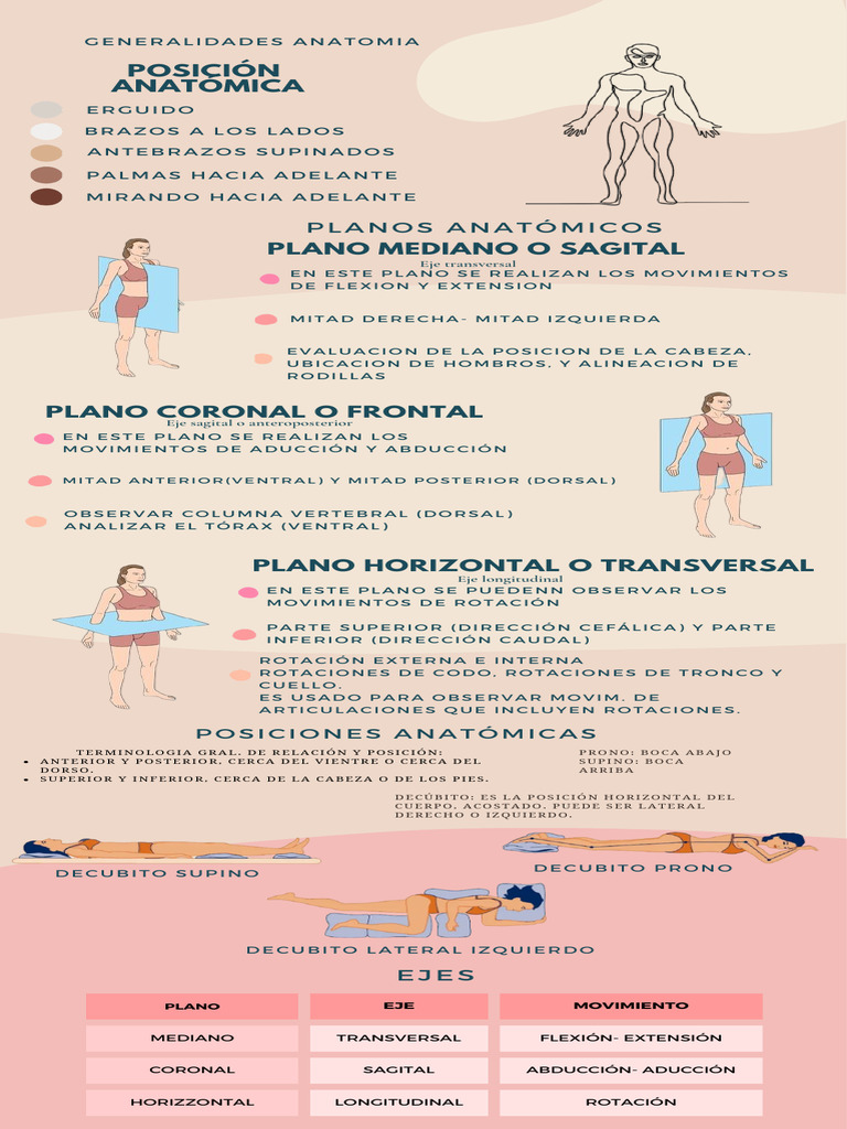 Generalidades de Anatomia | PDF | Términos anatómicos de ubicación
