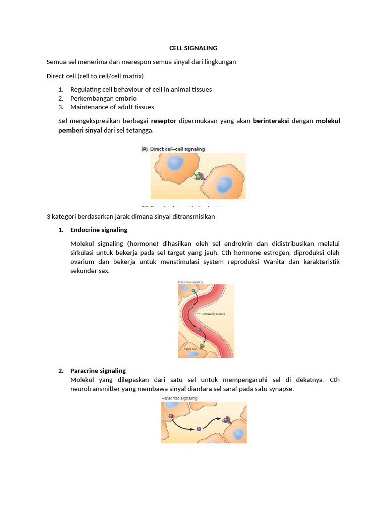 Memahami Sinyal Seluler dan Hormone | PDF