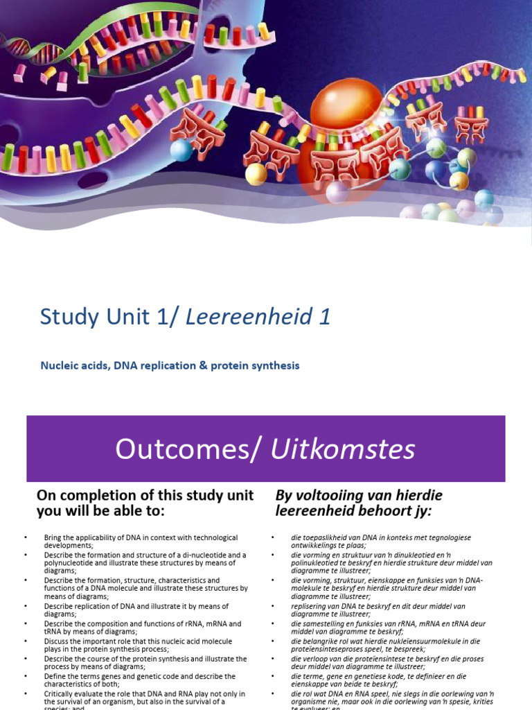 Life 122 Study Unit 1 Dna Rna and Protein Synthesis | PDF | Rna | Dna