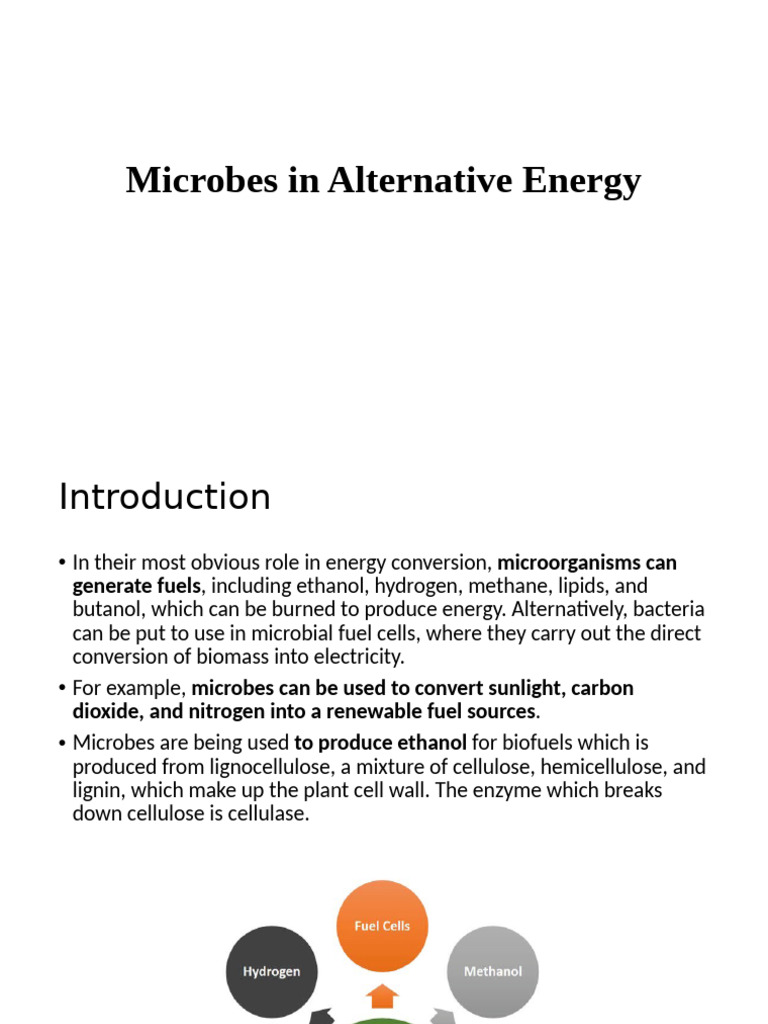 Microbes in Alternative Energy 1 | PDF | Chemical Substances | Materials
