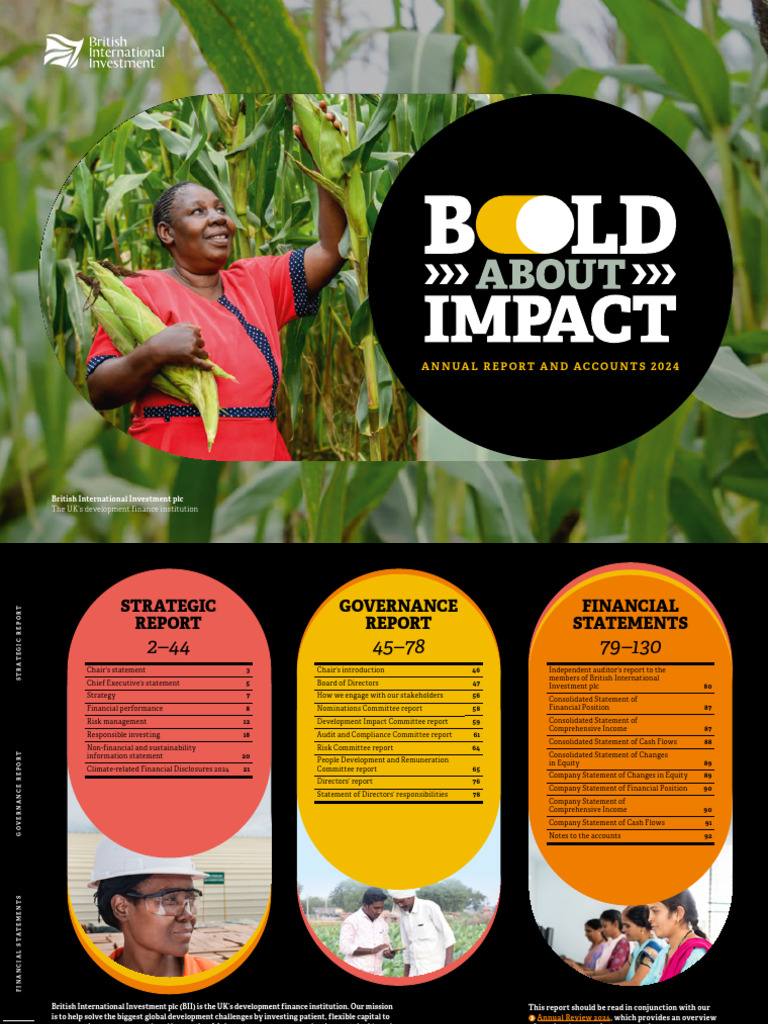 BII Annual Report 2024 Overview | PDF | Sustainability | Investing
