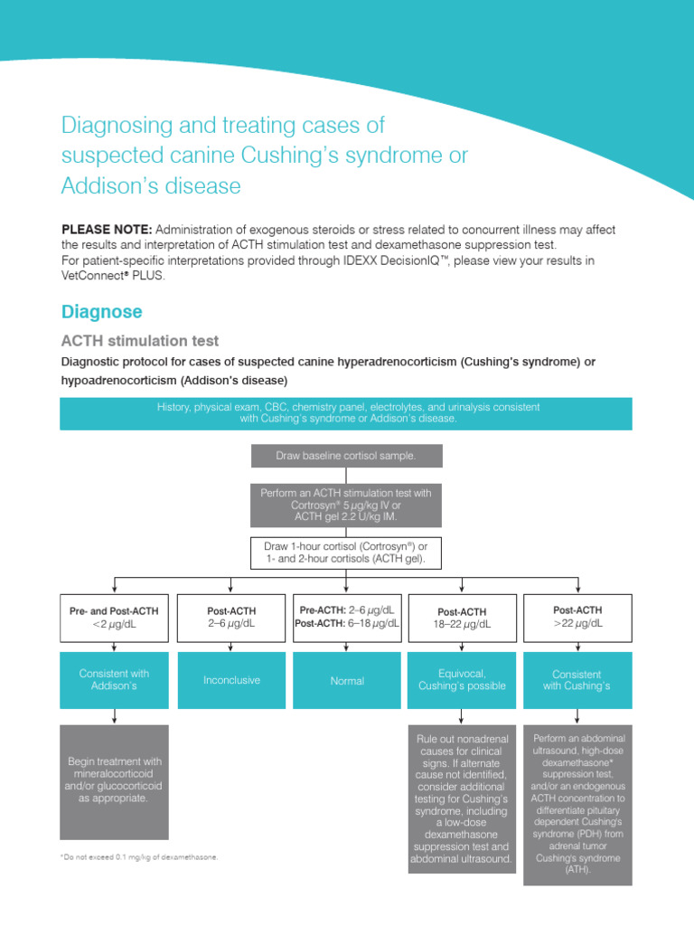 IDEXX ACTH Stimulation Test Protocol | PDF | Adrenal Gland | Clinical ...