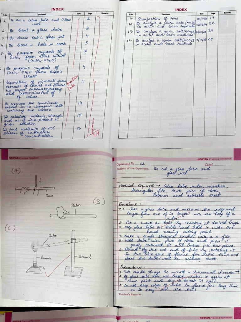 Class 11 Chemistry Practical Work | PDF