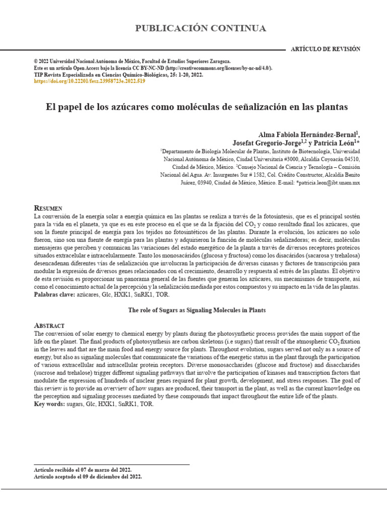 Azucares y Su Papel en La Se-Alizaci-n (2) | PDF | Carbohidratos | Metabolismo