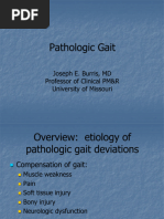 Types of Gait Abnormalities Explained | PDF | Spinal Cord | Peripheral ...