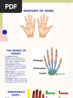 Derby Shoulder Instability Rehab Guide | PDF | Musculoskeletal System ...