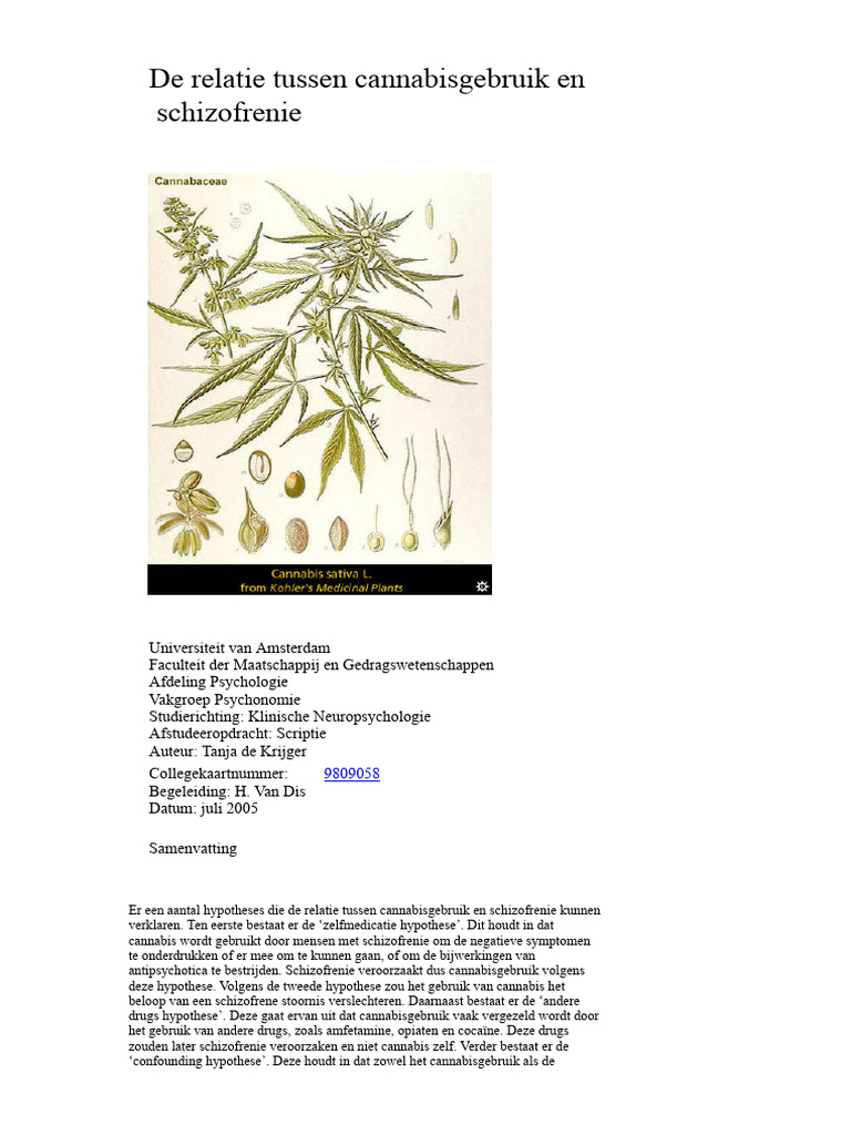 Scriptie | PDF