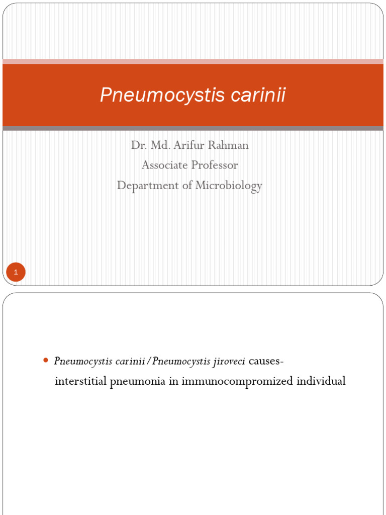 Pneumocystis Carinii | PDF