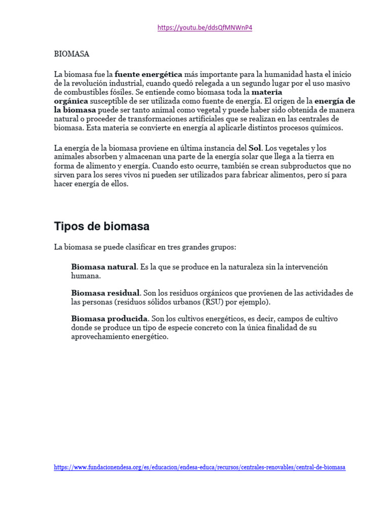 02 Biomasa | PDF | Biomasa | Gasificación