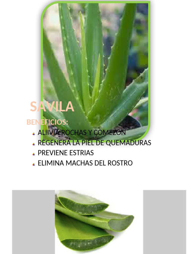 SAVILA | PDF