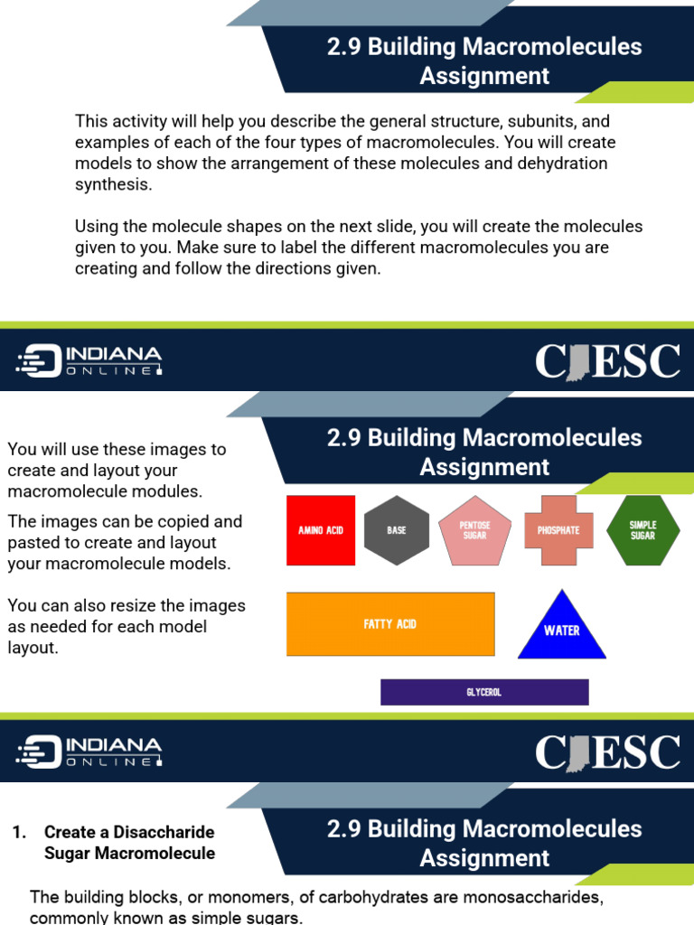 Copy of 2.9 Building Macromolecules Assignment | PDF | Macromolecules ...