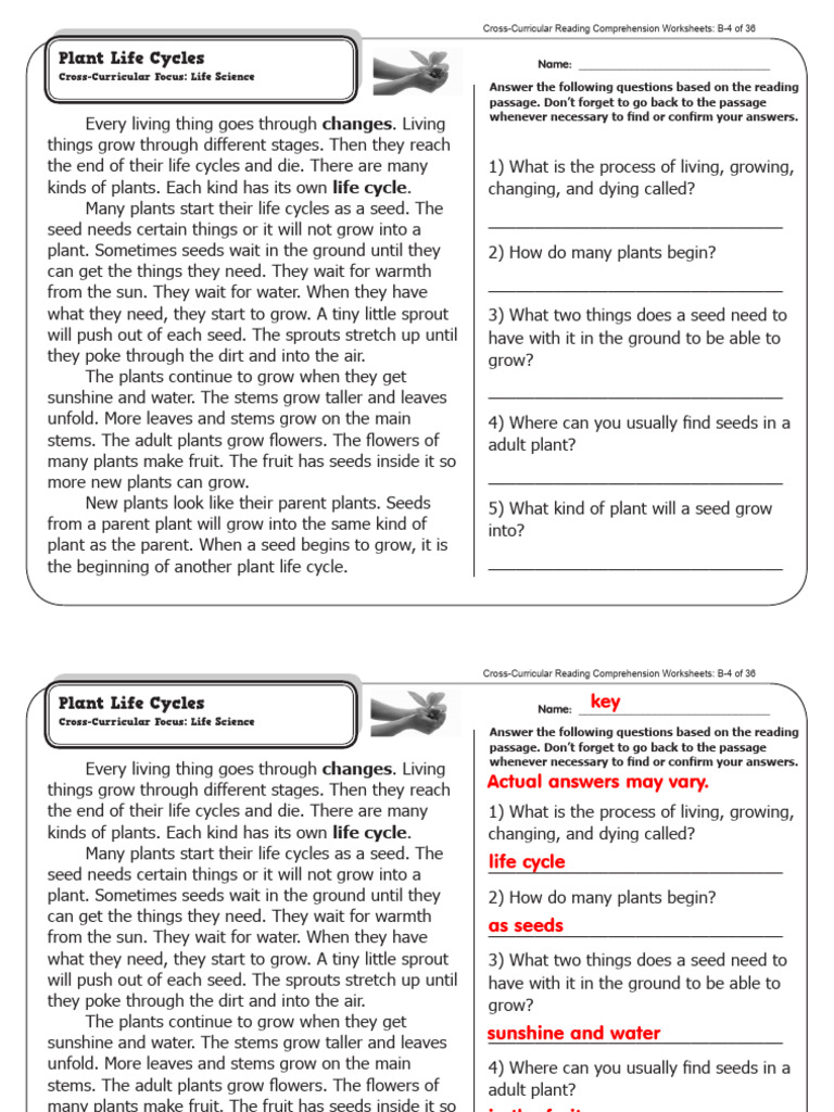 Gr2 Wk4 Plant Life Cycles | PDF | Botany | Branches Of Botany