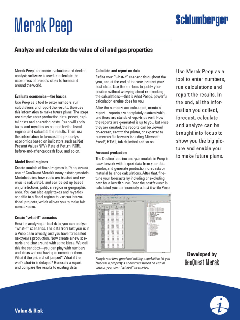 Merak Peep: Economic Analysis Tool | PDF | Forecasting | Royalty Payment