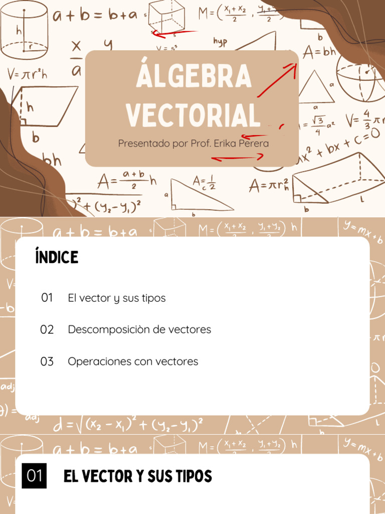 Algebra_Vectorial_20250709_213938_0000 | PDF | Vector Euclidiano | Geometría analítica