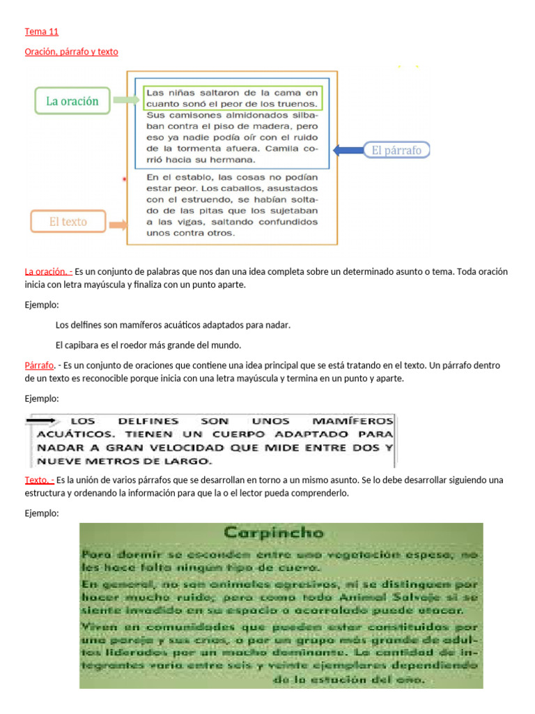Oración, Párrafo y Texto Explicados | PDF