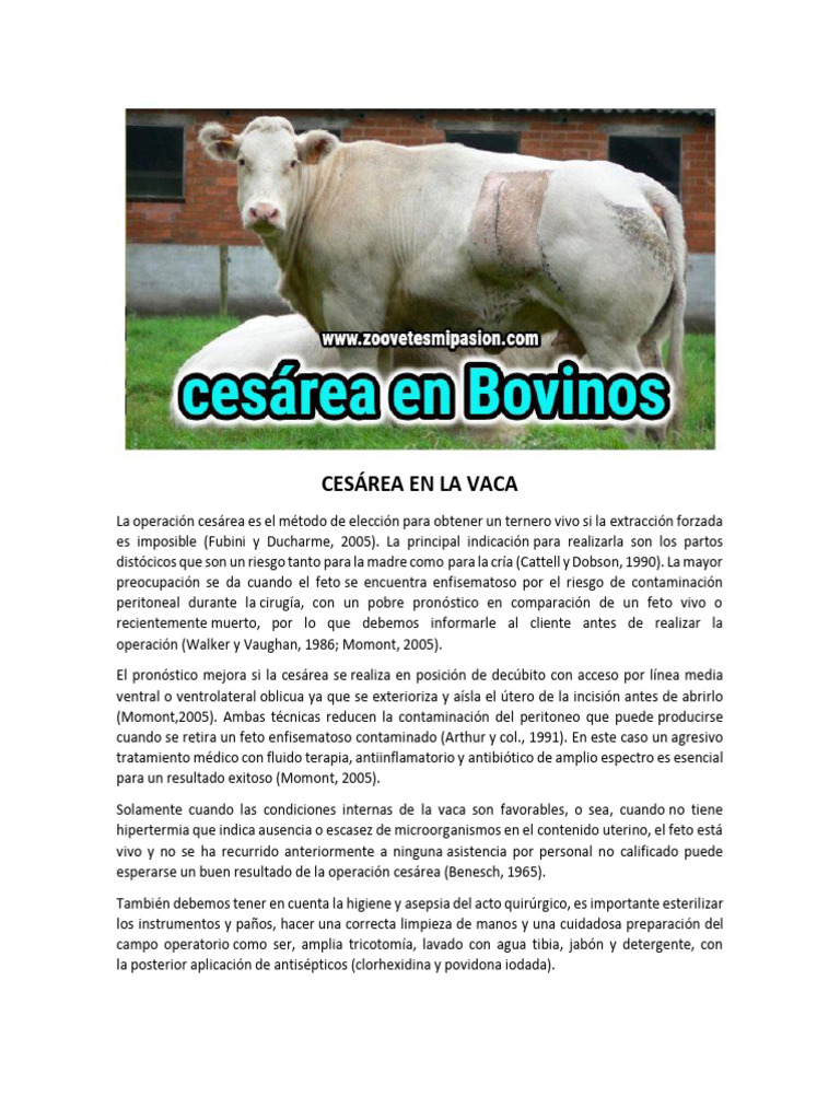 Cesárea en La Vaca | PDF | Seccion de cesárea | Parto