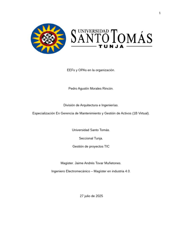 EEFs y OPAs en Proyectos TIC | PDF