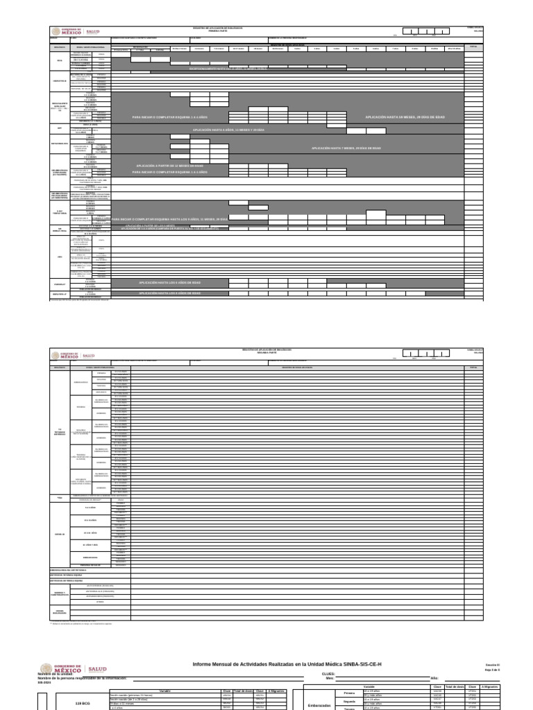 Formatos Sinba Sis 06-p y Ce 2024 | PDF | Inmunología | Salud pública