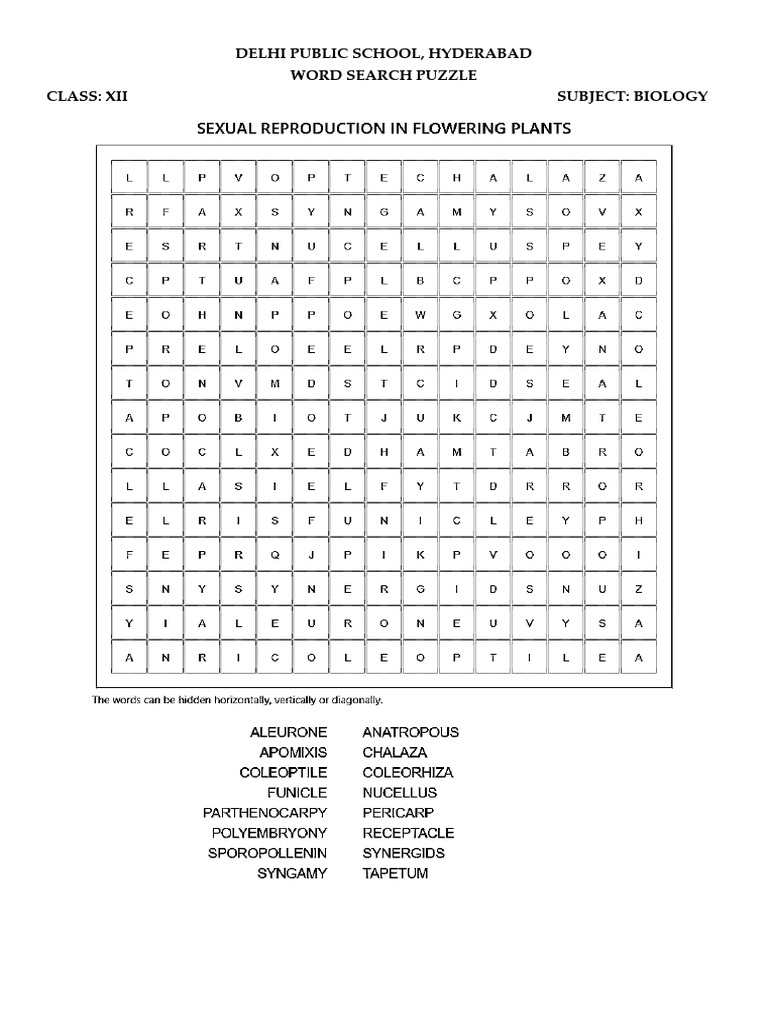 Word Search Puzzle 1 | PDF