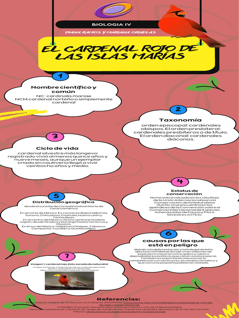Infograf%C3%ADa D%C3%ADa Internacional de La Tierra Medio Ambiente ...
