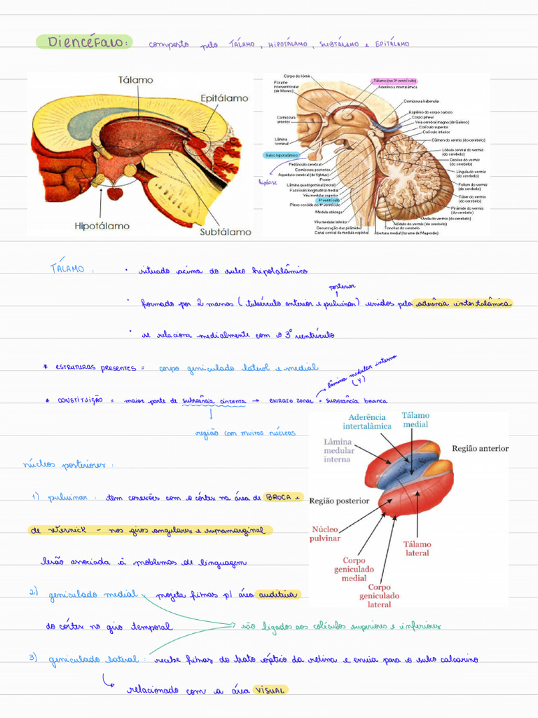 Neuro PR2 | PDF