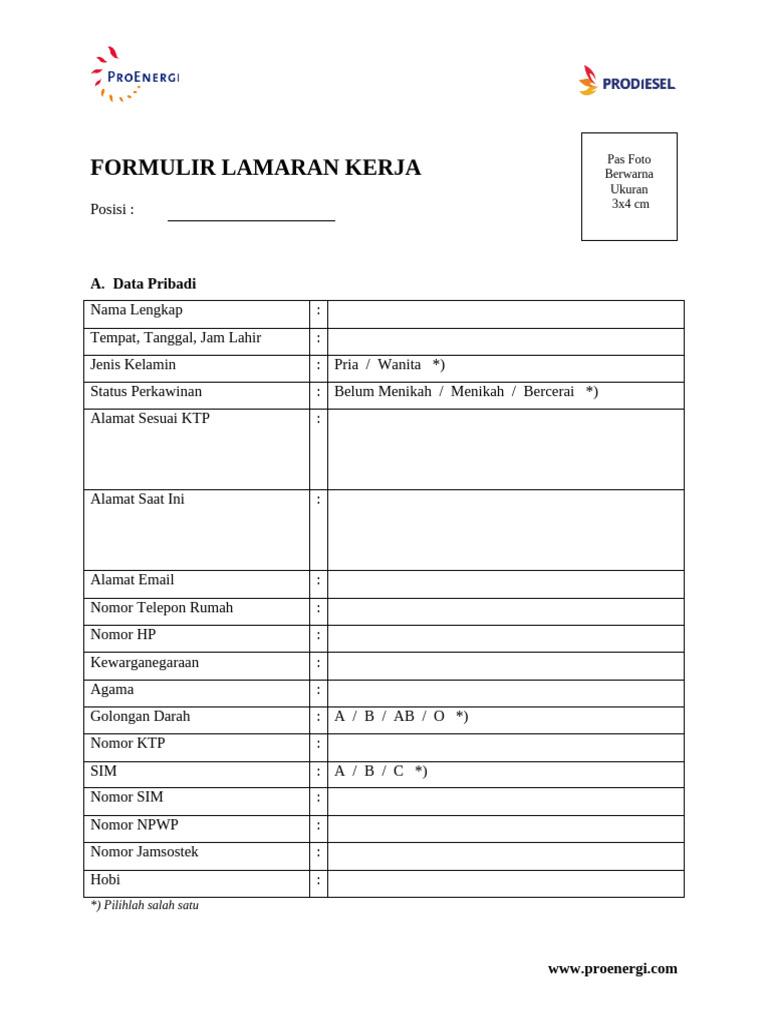 Formulir Lamaran Kerja Pro Energi | PDF