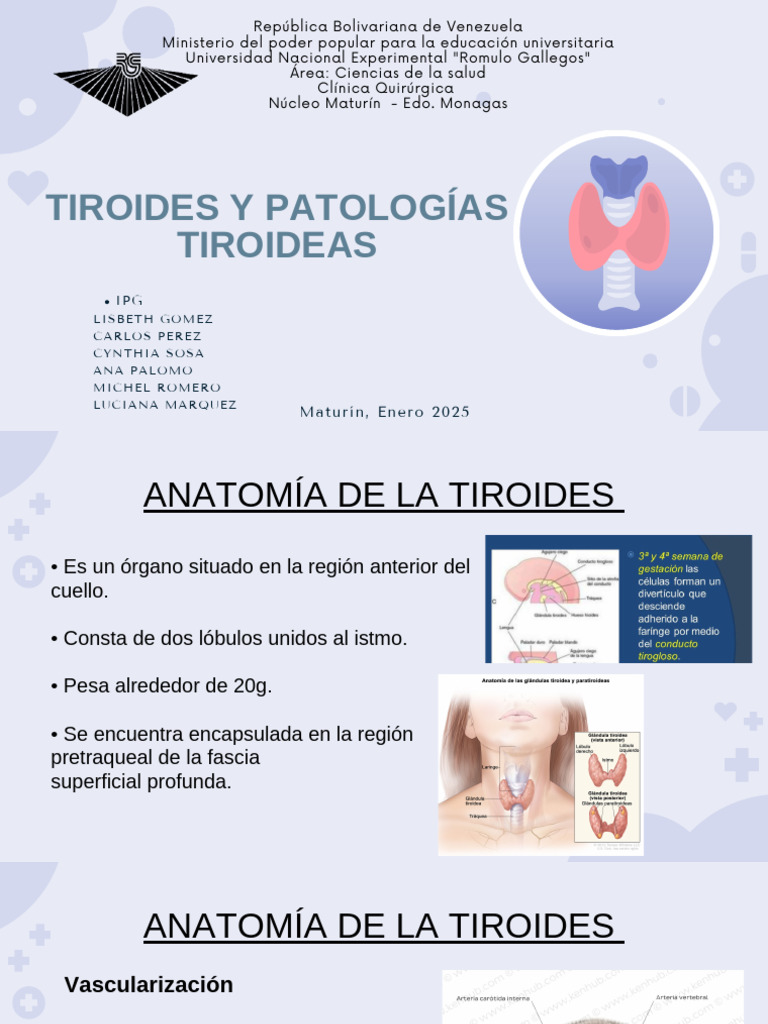 Tiroides: Anatomía, Patologías y Tratamientos | PDF | Hipertiroidismo ...