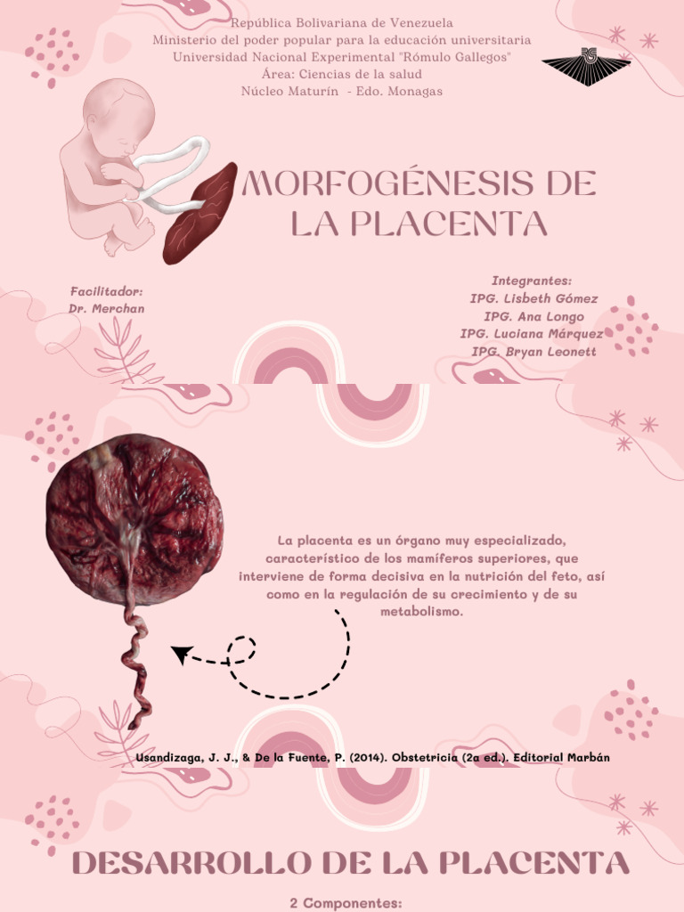 Morfogenesis de la Placenta _20250614_192931_0000 | PDF | Placenta ...