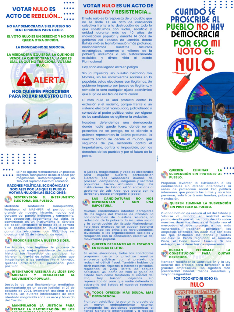 Mi Voto Es Nulo | PDF | Votación | Pobreza