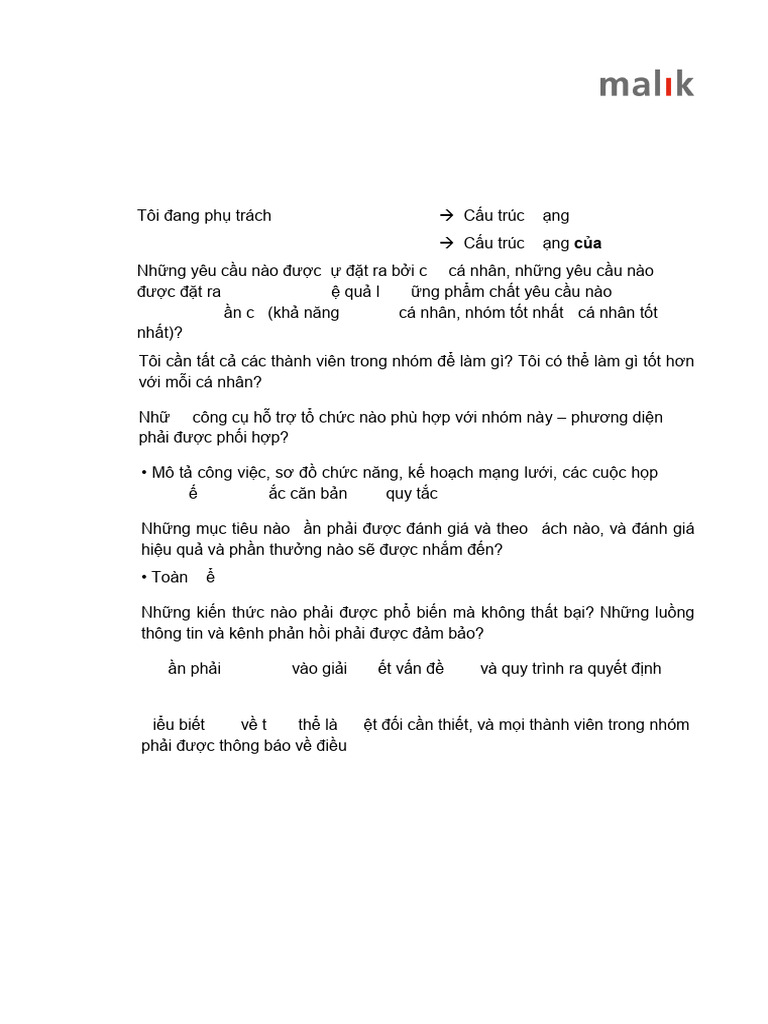 Malik M08 Phân Tích Nhóm | PDF