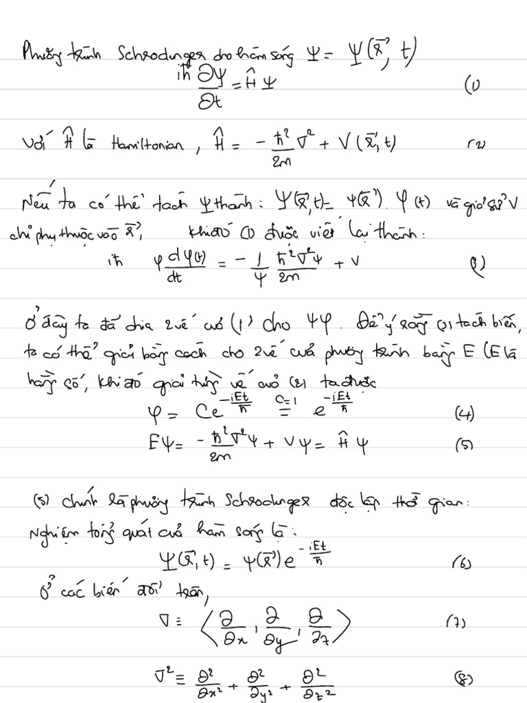 Hamiltonian Mechanics and Schrödinger Equation Analysis | PDF