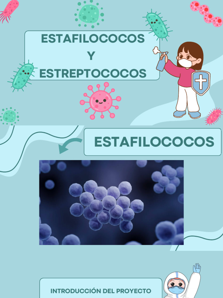 Estafilococos y Estreptococos-Sección 02 20250907 193719 0000 | PDF ...