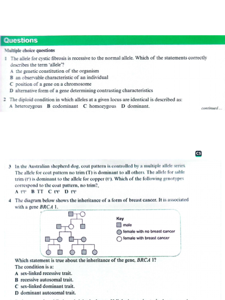 Chapter 7 Genetics Questions | PDF
