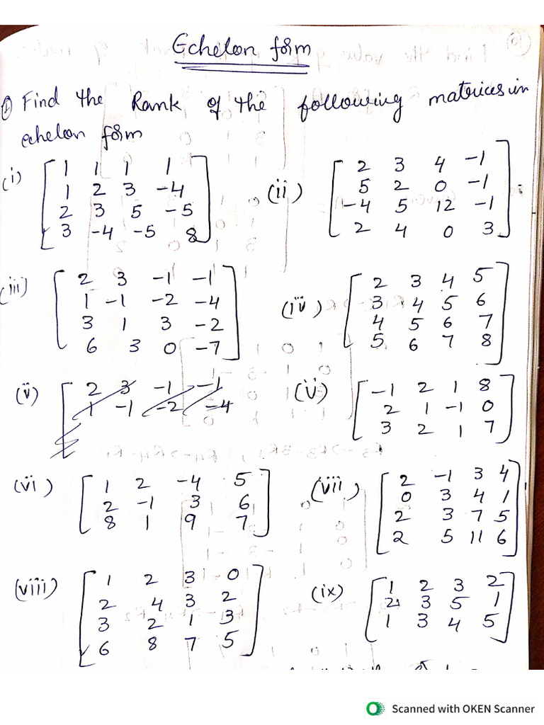 Echelon Form HW | PDF