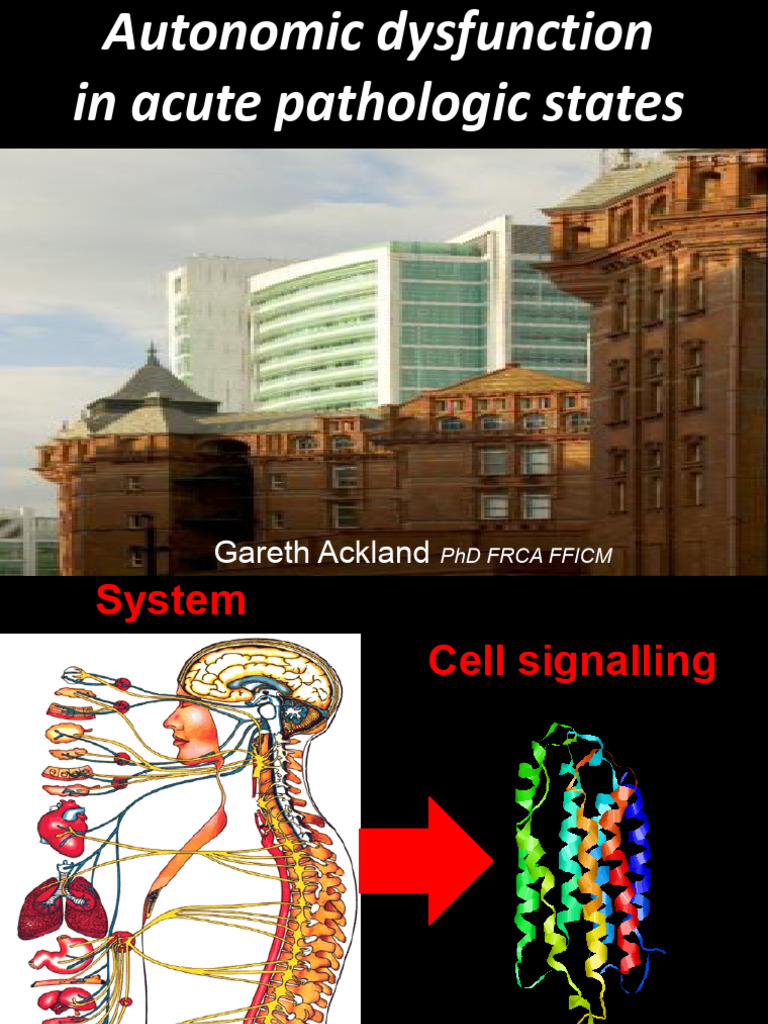 Autonomic Dysfunction in Acute Illness | PDF | Autonomic Nervous System ...