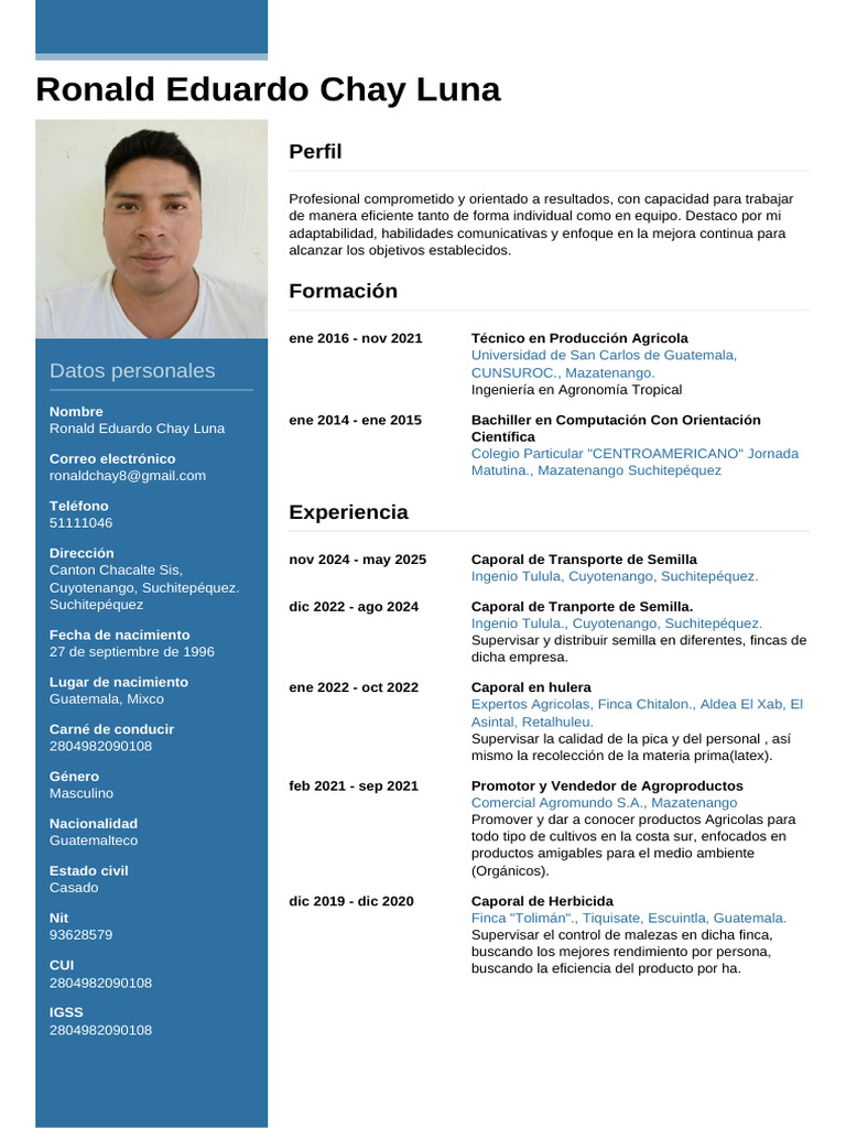 Perfil Profesional de Ronald Chay Luna | PDF | Guatemala