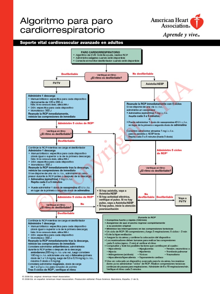ACLS Algoritmos | PDF | Reanimación cardiopulmonar | Corazón
