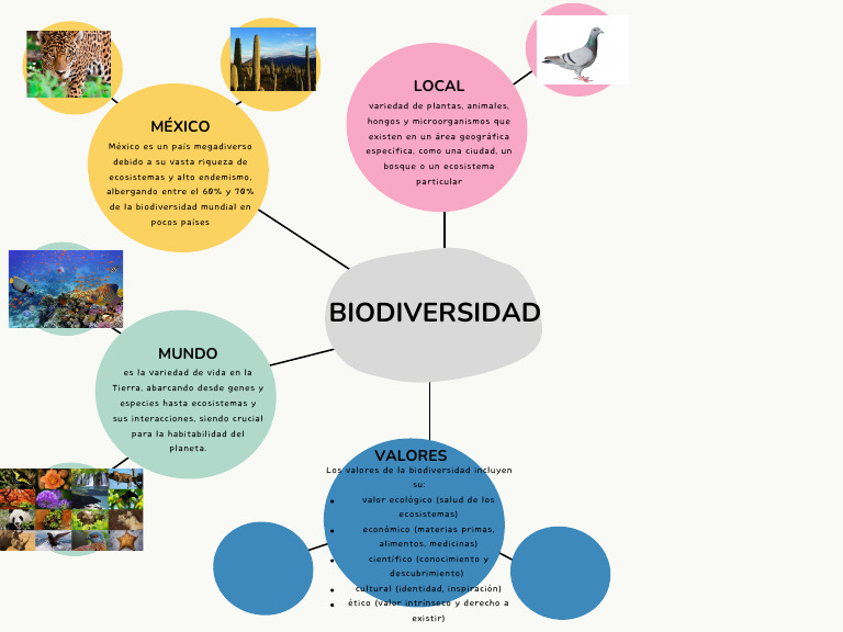 Bio Divers I Dad | PDF