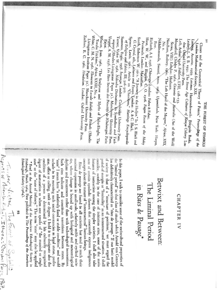 Turner Betwixt and Between The Forest of Symbols | PDF