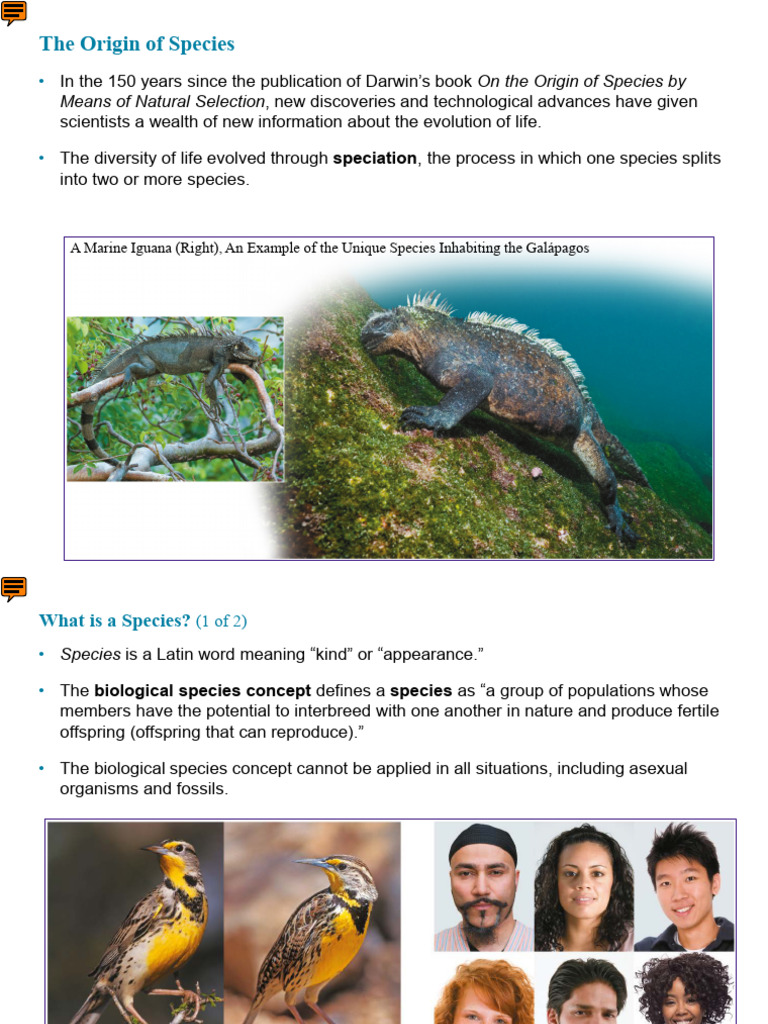 Defining Fertile Offspring in Species | PDF | Plate Tectonics | Evolution