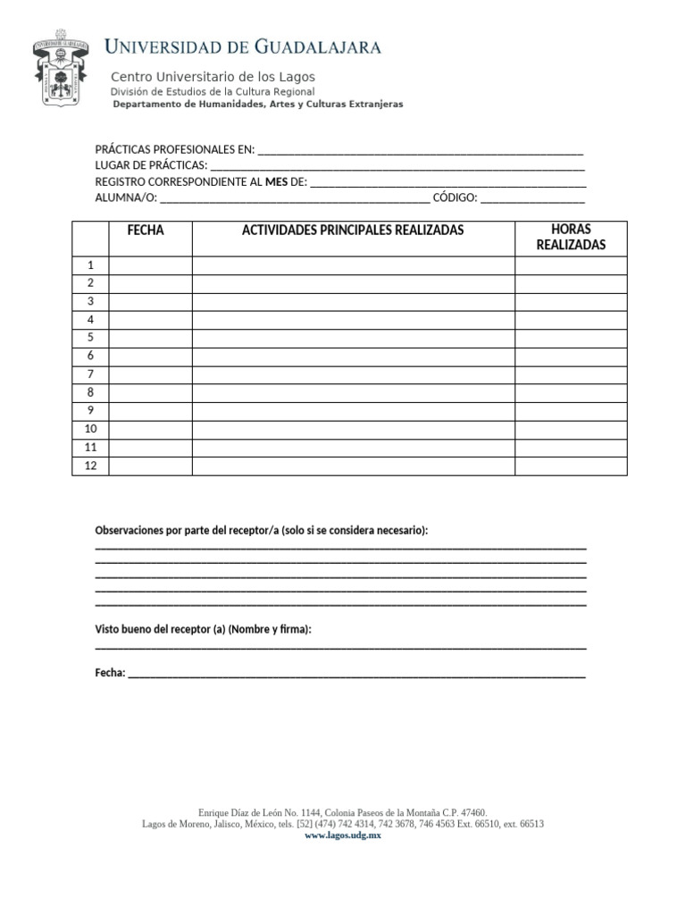 Reporte Mensual de Actividades Nvo. | PDF