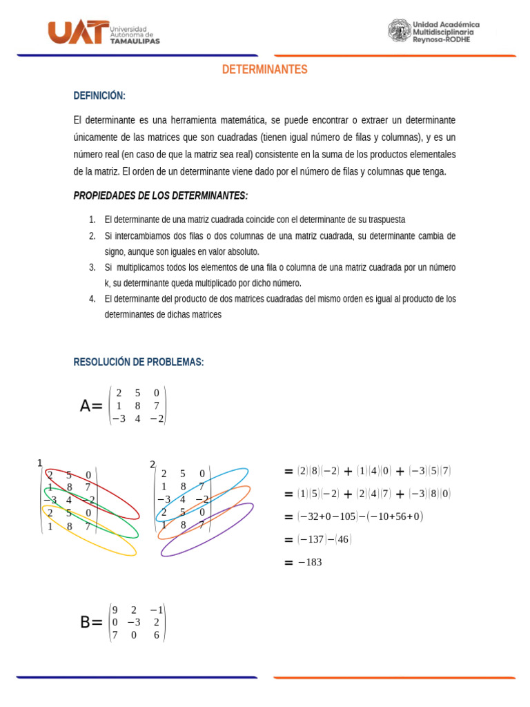 Propiedades y Cálculo de Determinantes | PDF | Determinante | Matriz ...