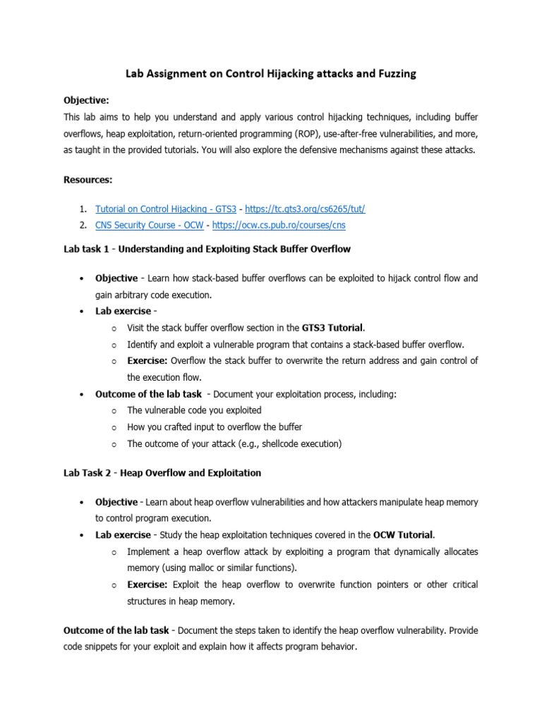 Lab_OS_Software_Security | PDF | Computer Science | Computer Programming