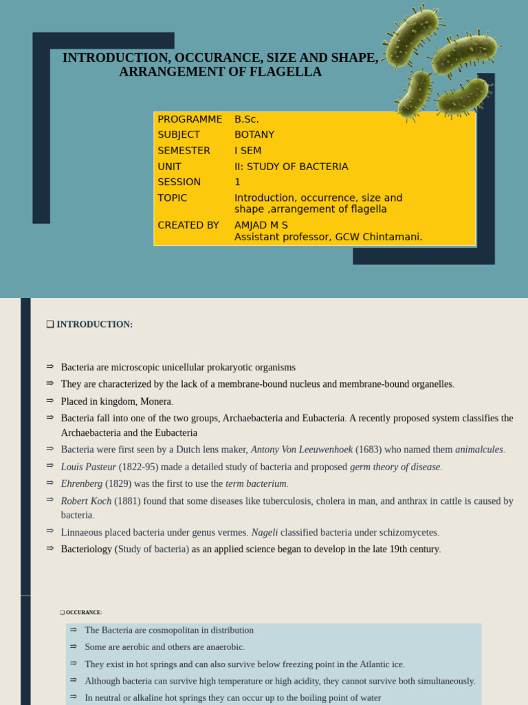 Study of Bacteria PPT1 | PDF | Bacteria | Microscopy