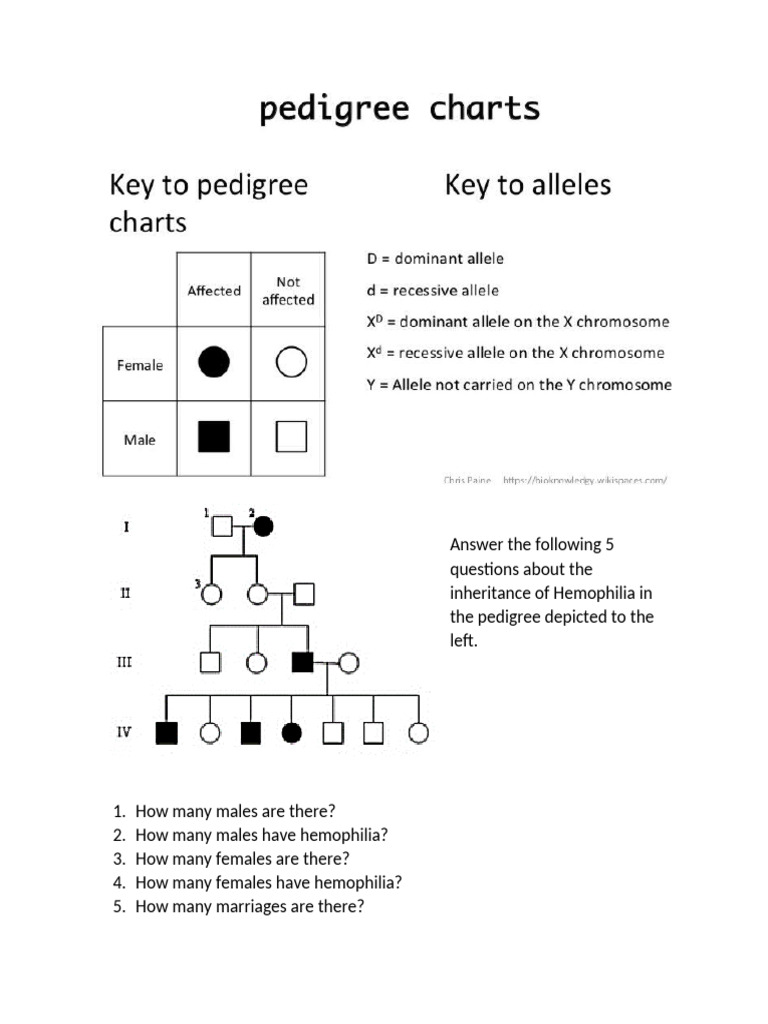 Project 11 - Pedigree Answer Sheet | PDF