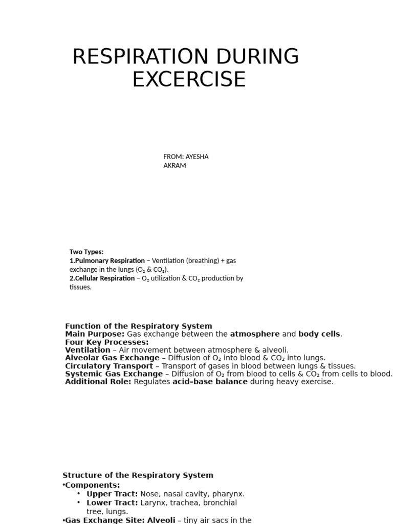 Exercise and Respiratory System Function | PDF | Respiratory System | Lung