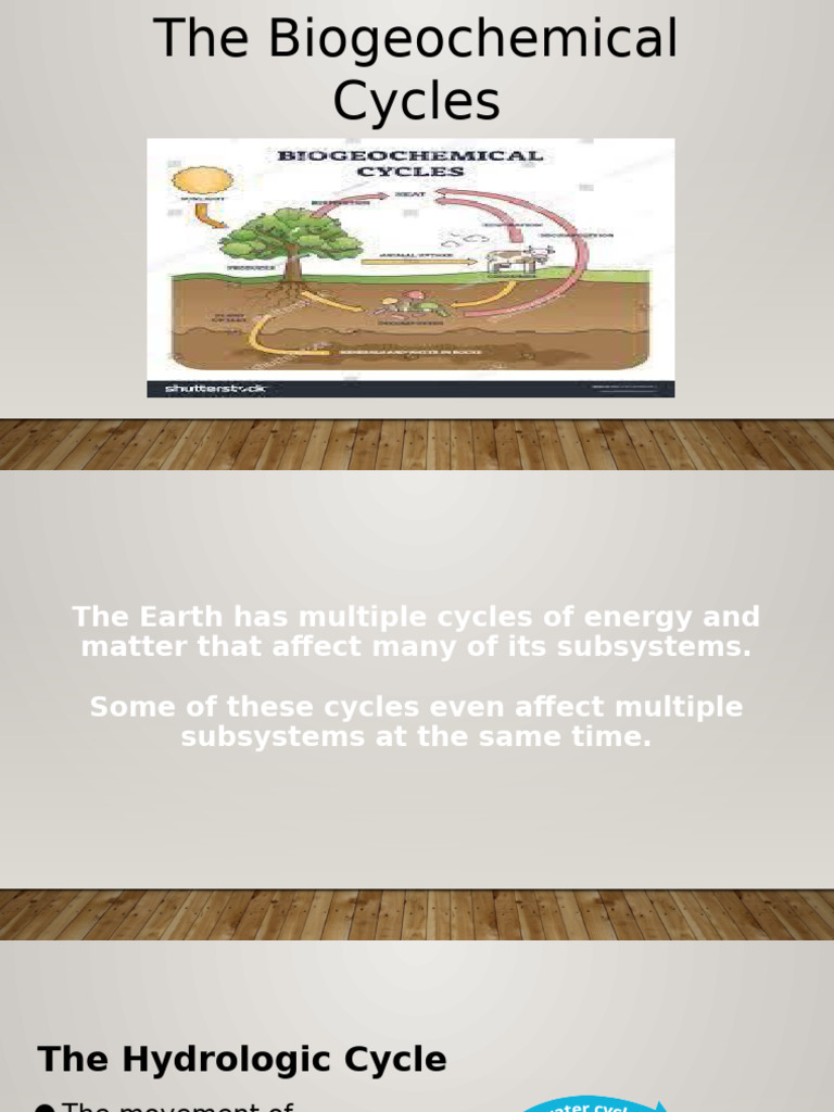 Understanding Biogeochemical Cycles | PDF