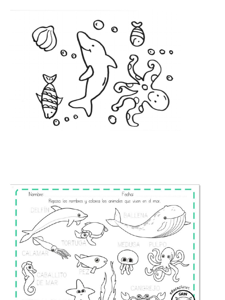 Animales Terrestres y Acuáticos Examen | PDF